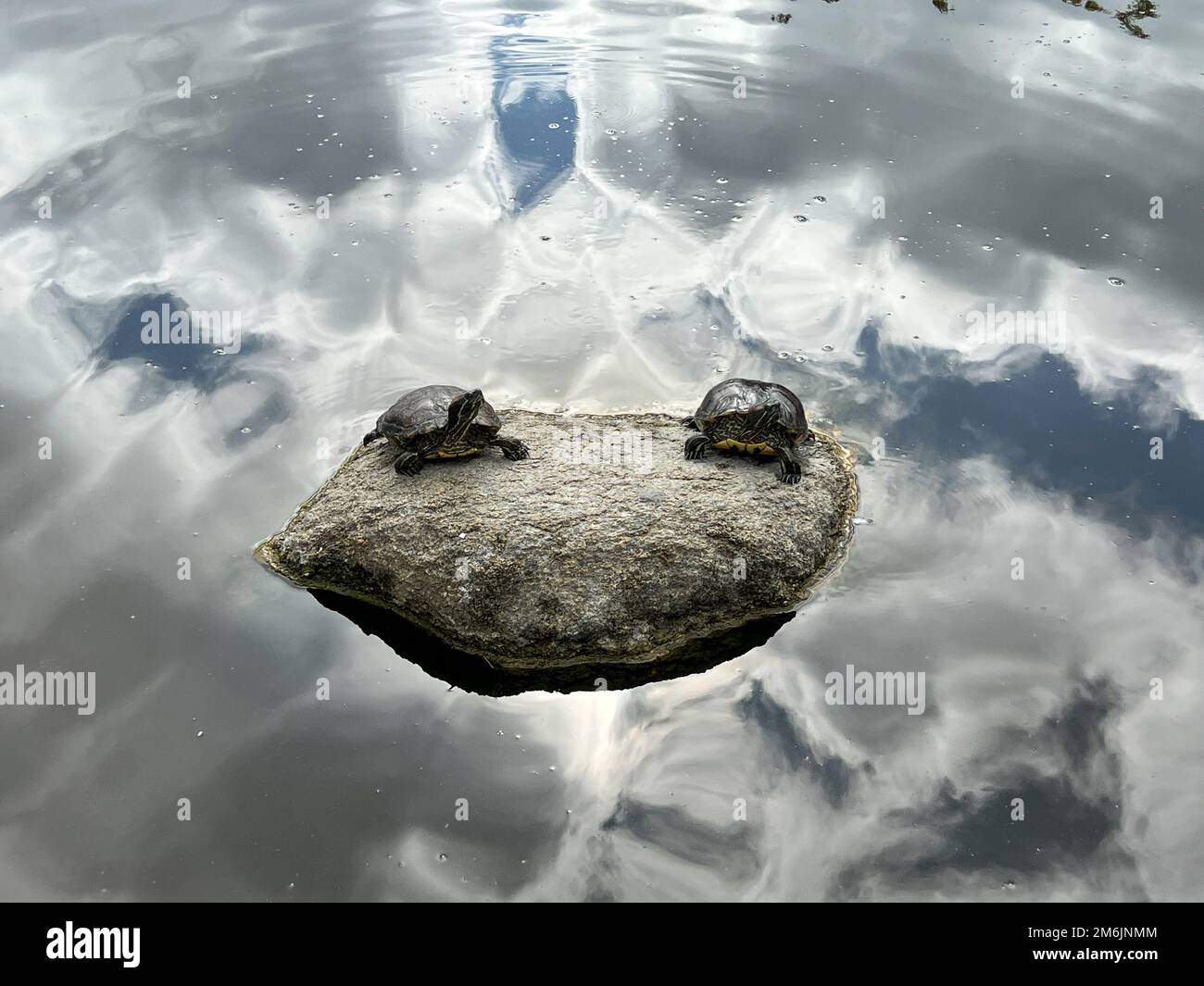 Rock in slow water hi-res stock photography and images - Alamy