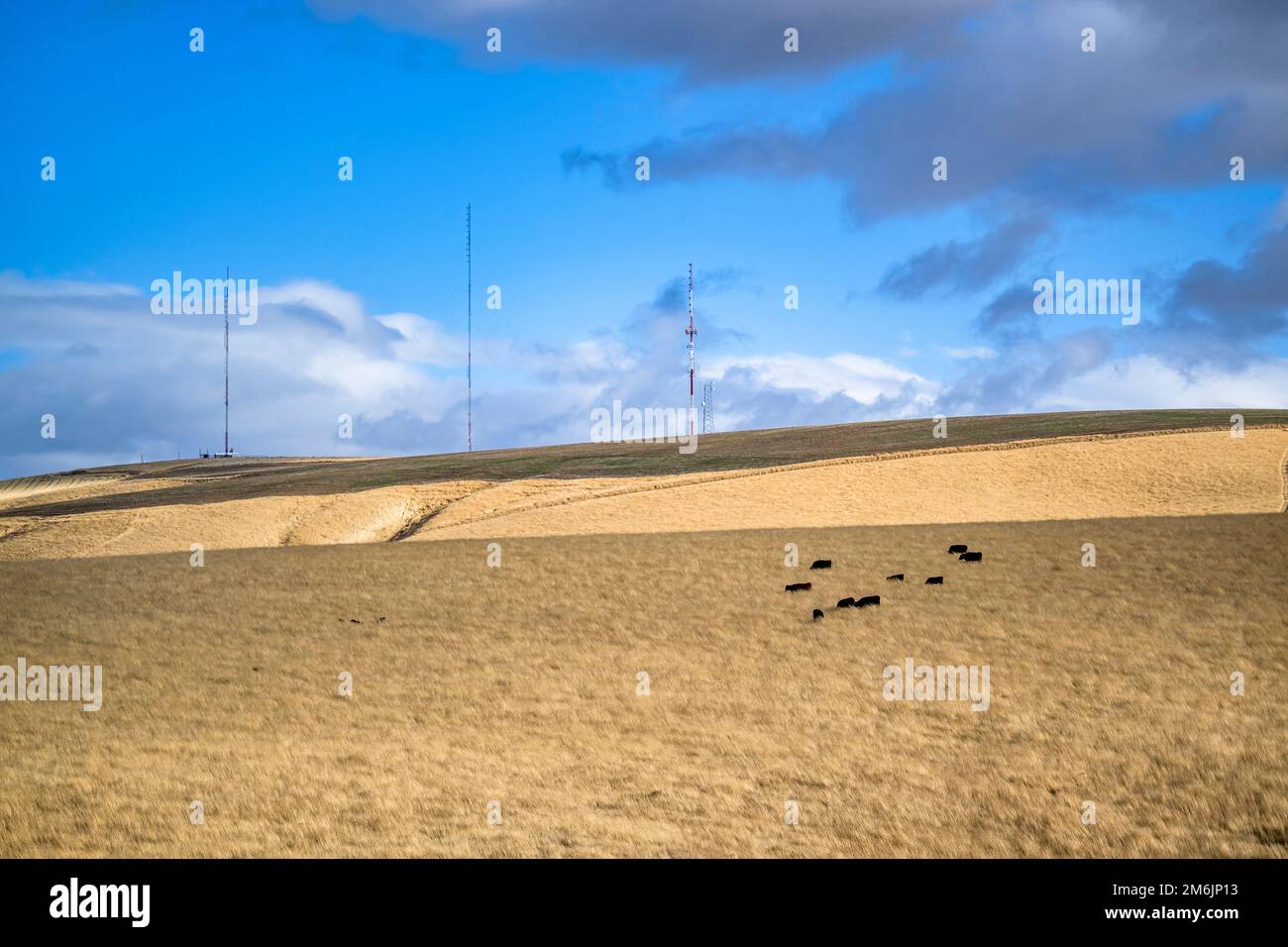 Agricultural landscape with farmland with plowed fields and sloping ...