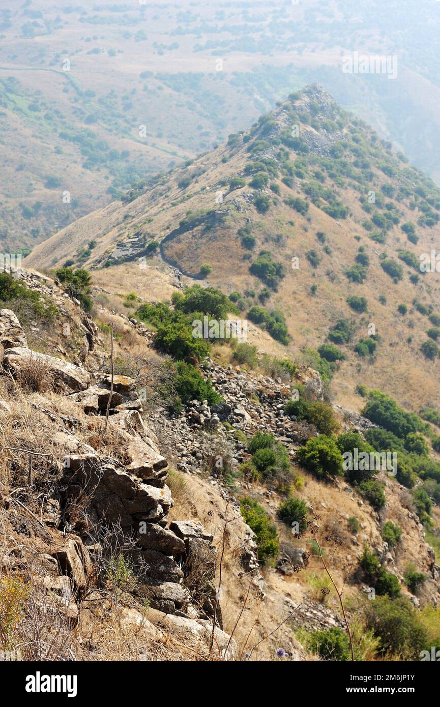 Gamla Nature Reserve in Israel Stock Photo - Alamy