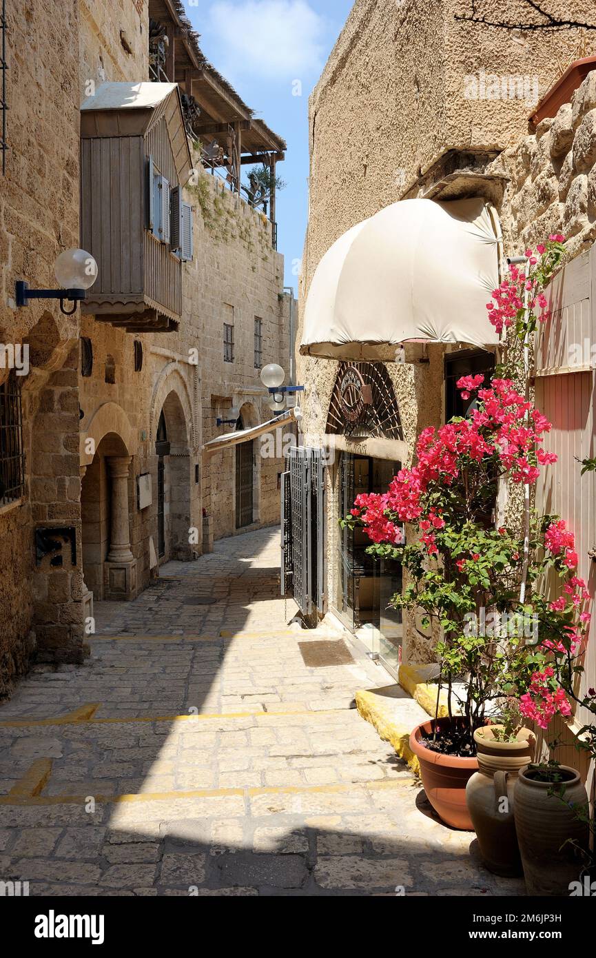 Old jaffa hi-res stock photography and images - Alamy