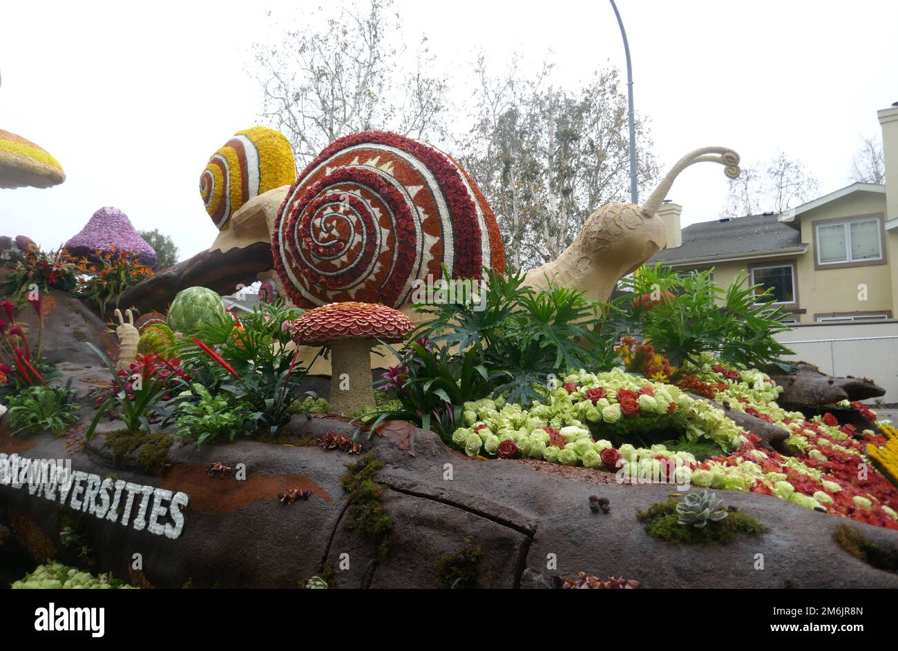 Pasadena, California, USA 3rd January 2023 Cal Poly Universities Rose ...