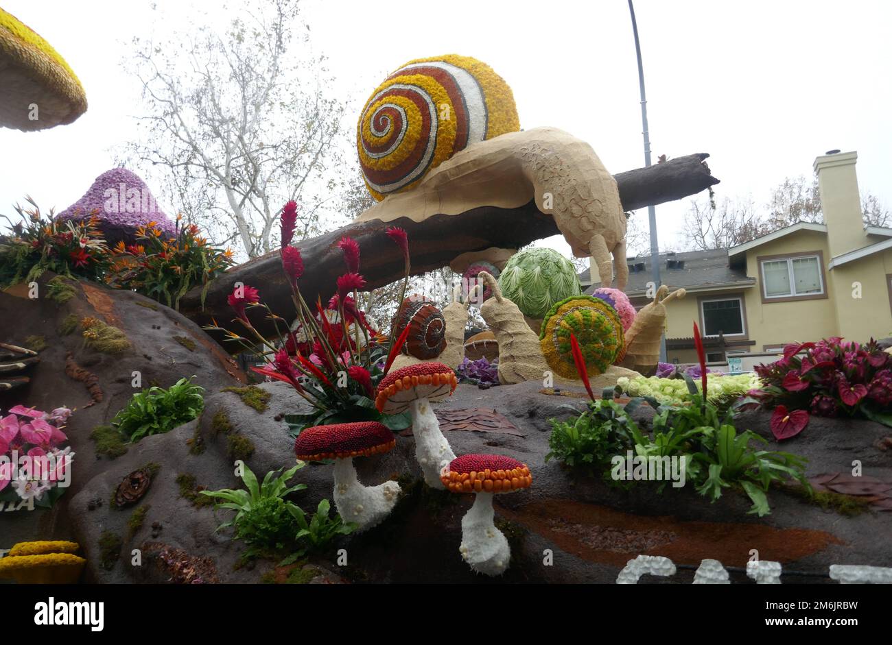 Pasadena, California, USA 3rd January 2023 Cal Poly Universities Rose ...