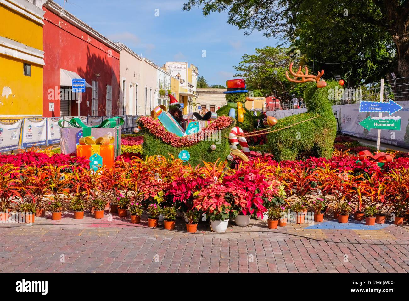 Christmas flower exhibit, Parque de La Mejorada, Historical center of ...