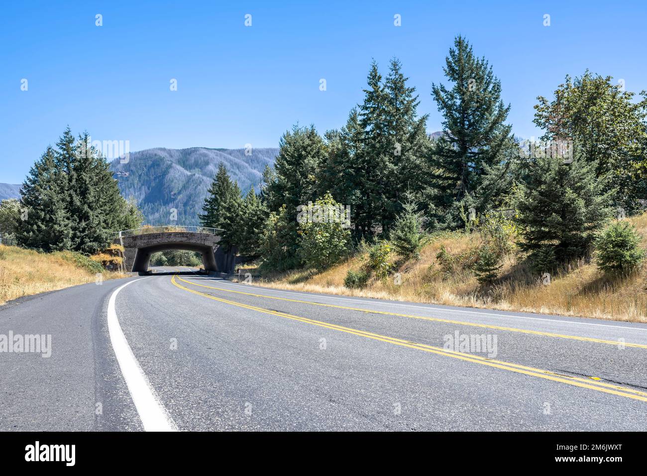 Scenic summer landscape with a winding mountain highway road with ...