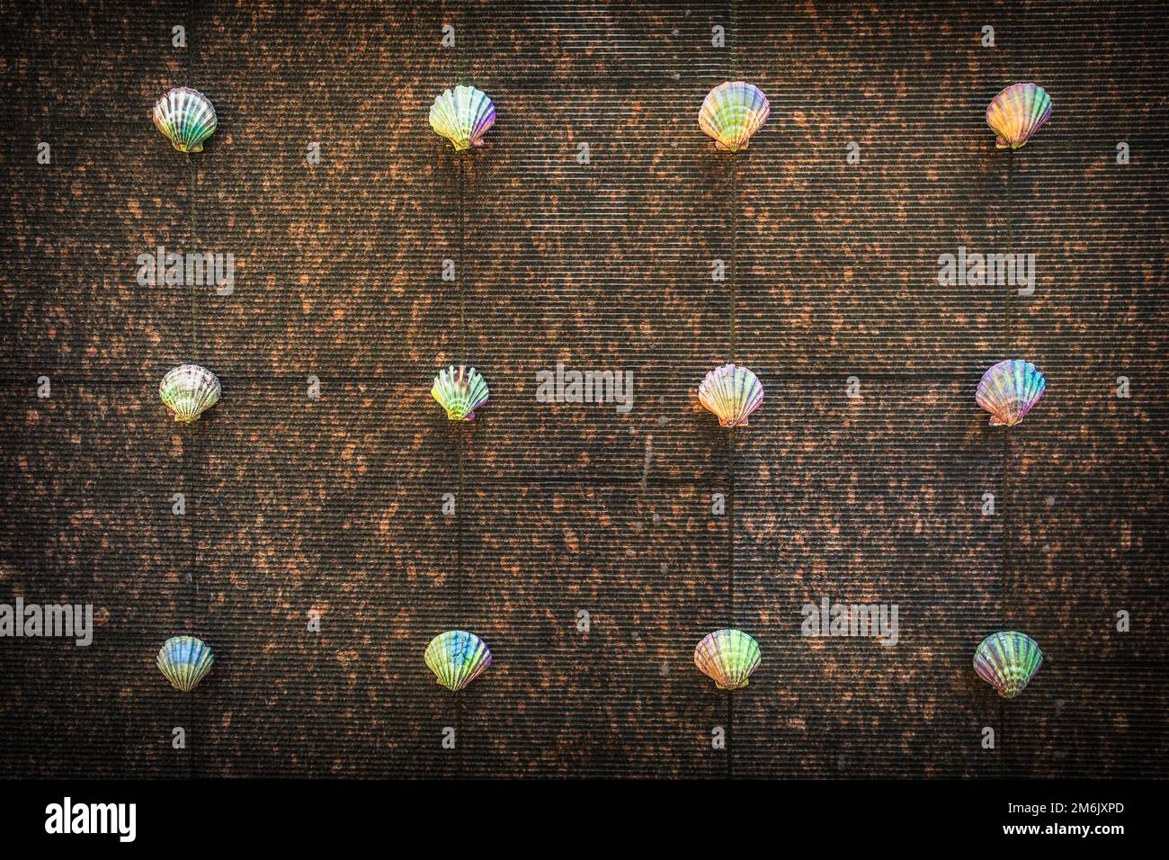 Rows of multicolored decorative scallop shells on a granite wall Stock ...