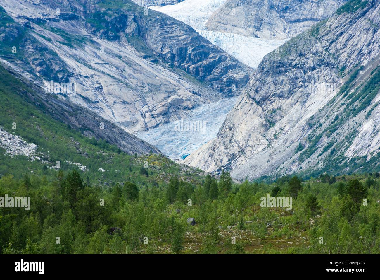 Landscape view of the Nigardsbreen melting glacier and the forest in ...