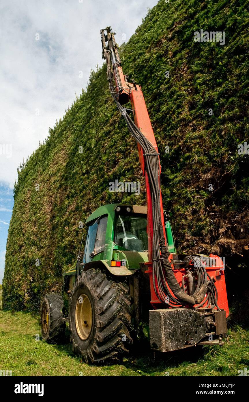 Shelter trimmer hi-res stock photography and images - Alamy