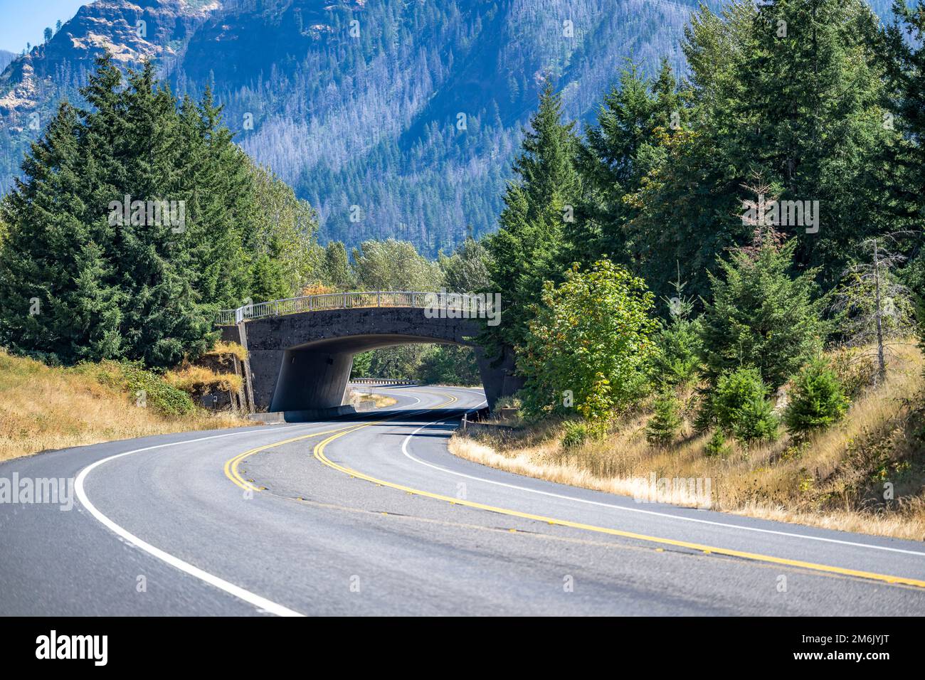 Scenic summer landscape with a winding mountain highway road with ...