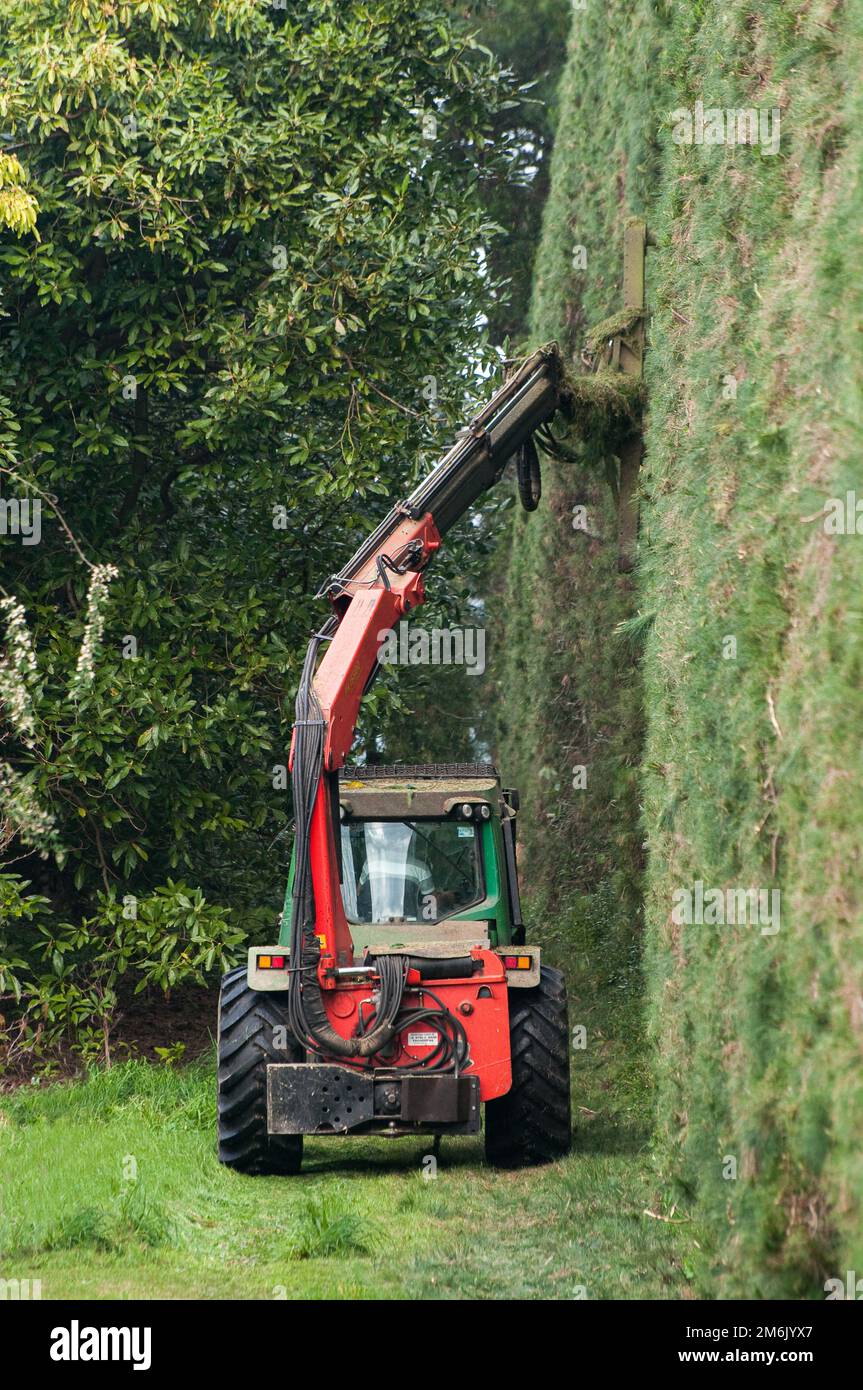 Shelter trimmer hi-res stock photography and images - Alamy