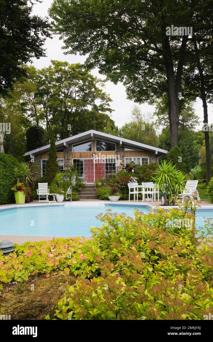 Spiraea japonica ' Gold Mound' - Spirea shrub in border next to in ...