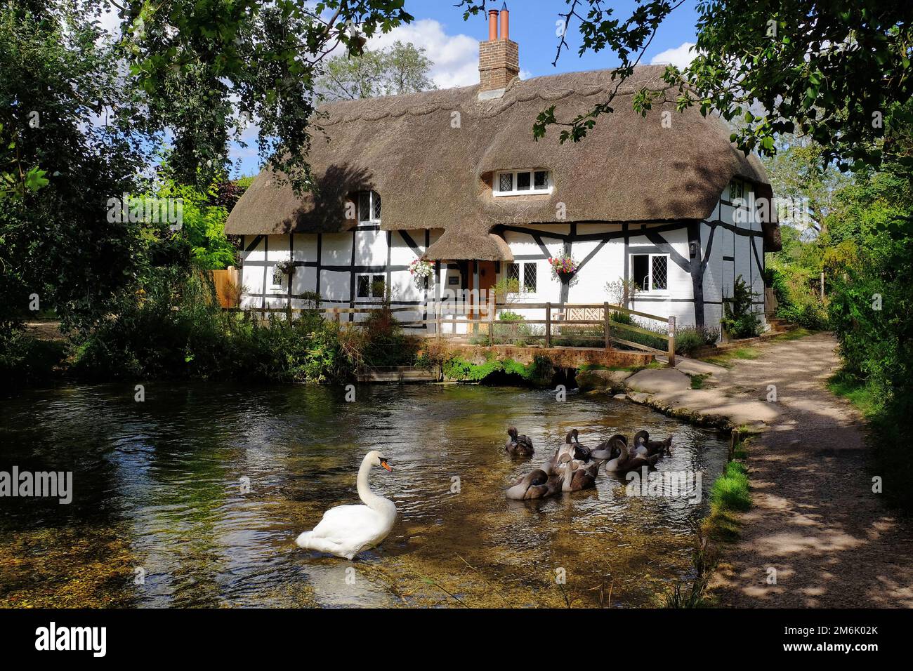 Alresford: Fulling Mill across the River Alre with white swan and her ...