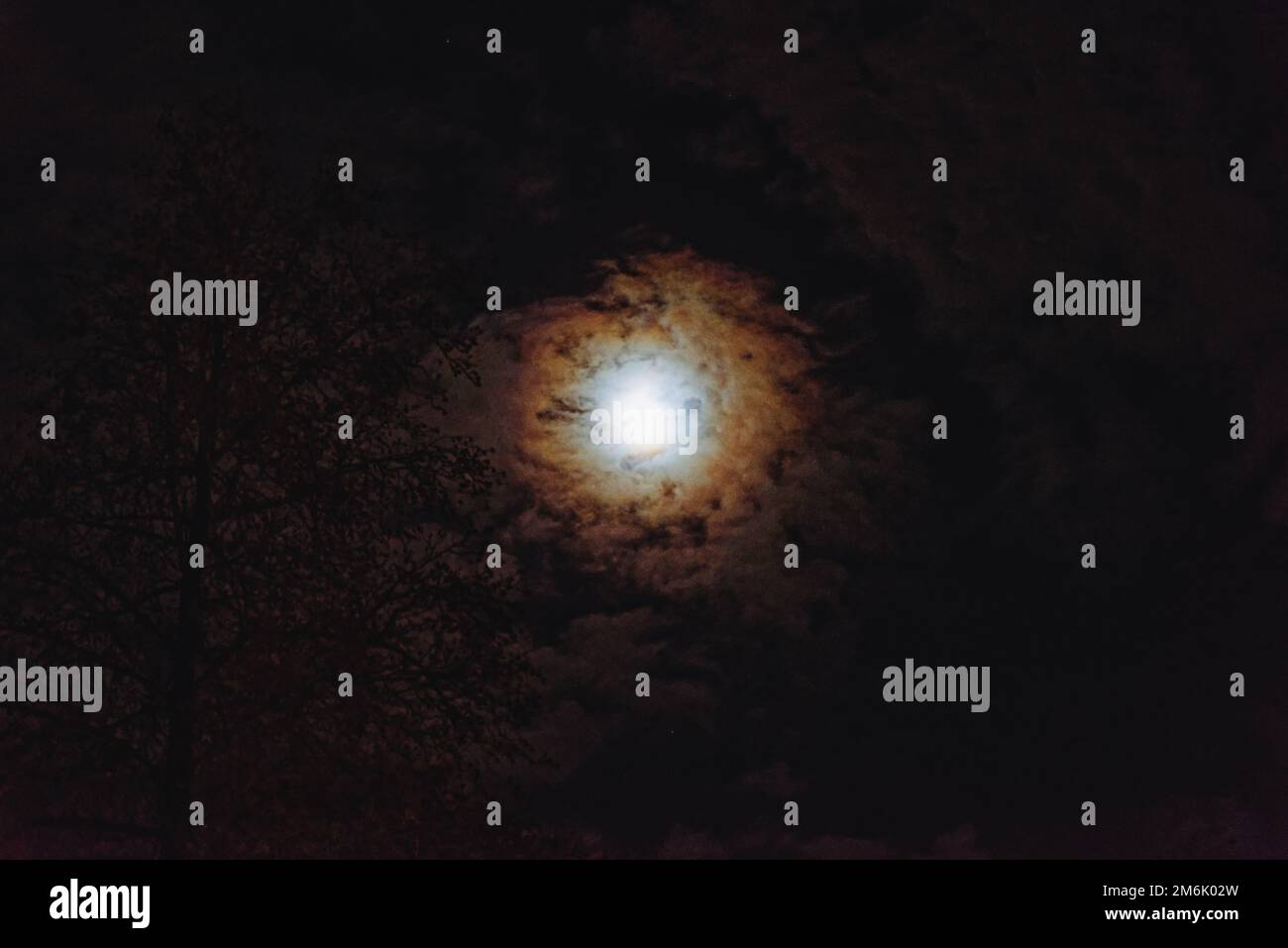 Das jahr 2023 hi-res stock photography and images - Alamy