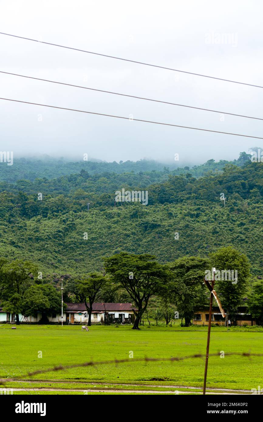 Natural landscape with Field and mountains Niladri Lake Sunamganj ...