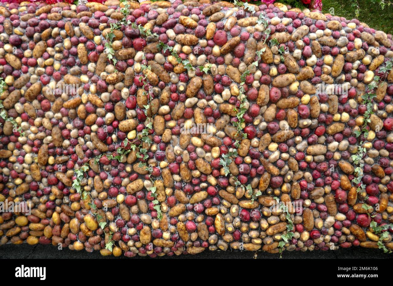 Pasadena, California, USA 3rd January 2023 Potatoes on Rose Parade ...
