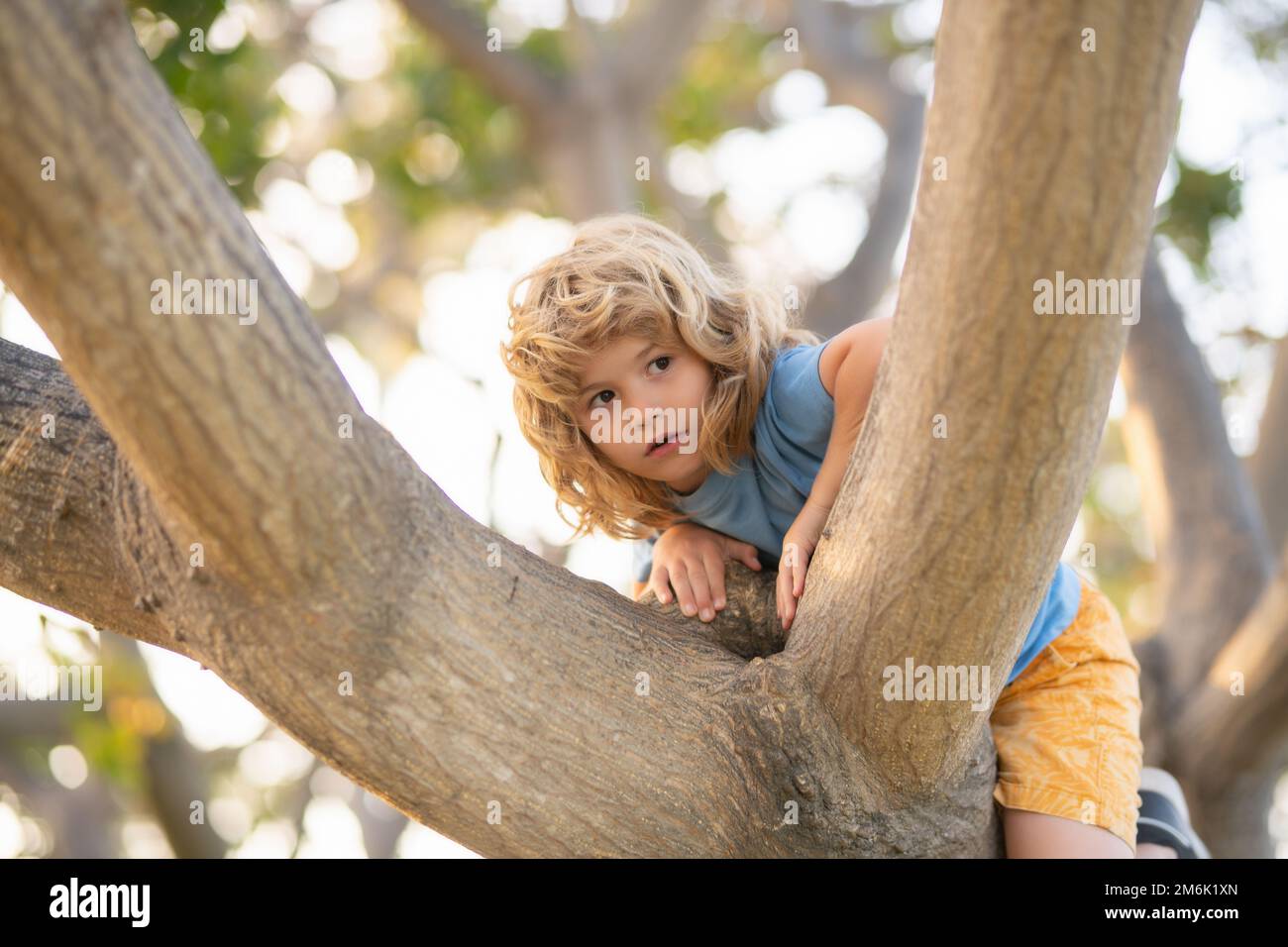 8 years old boy climbing high tree in the park. Overcoming the fear of ...