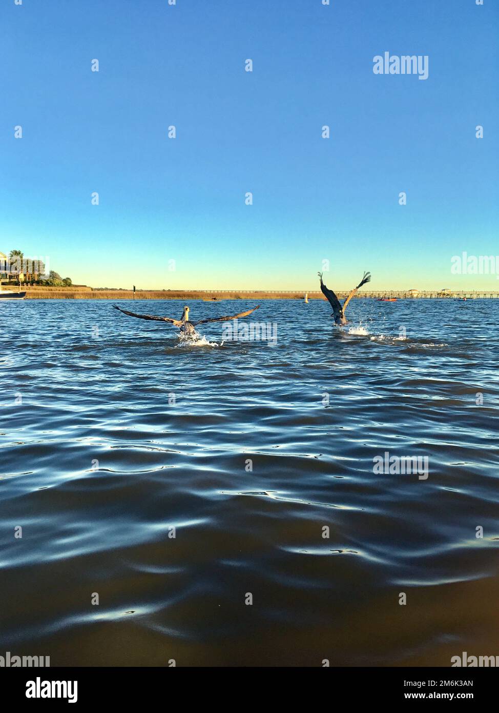 Charleston South Carolina scenery Stock Photo - Alamy