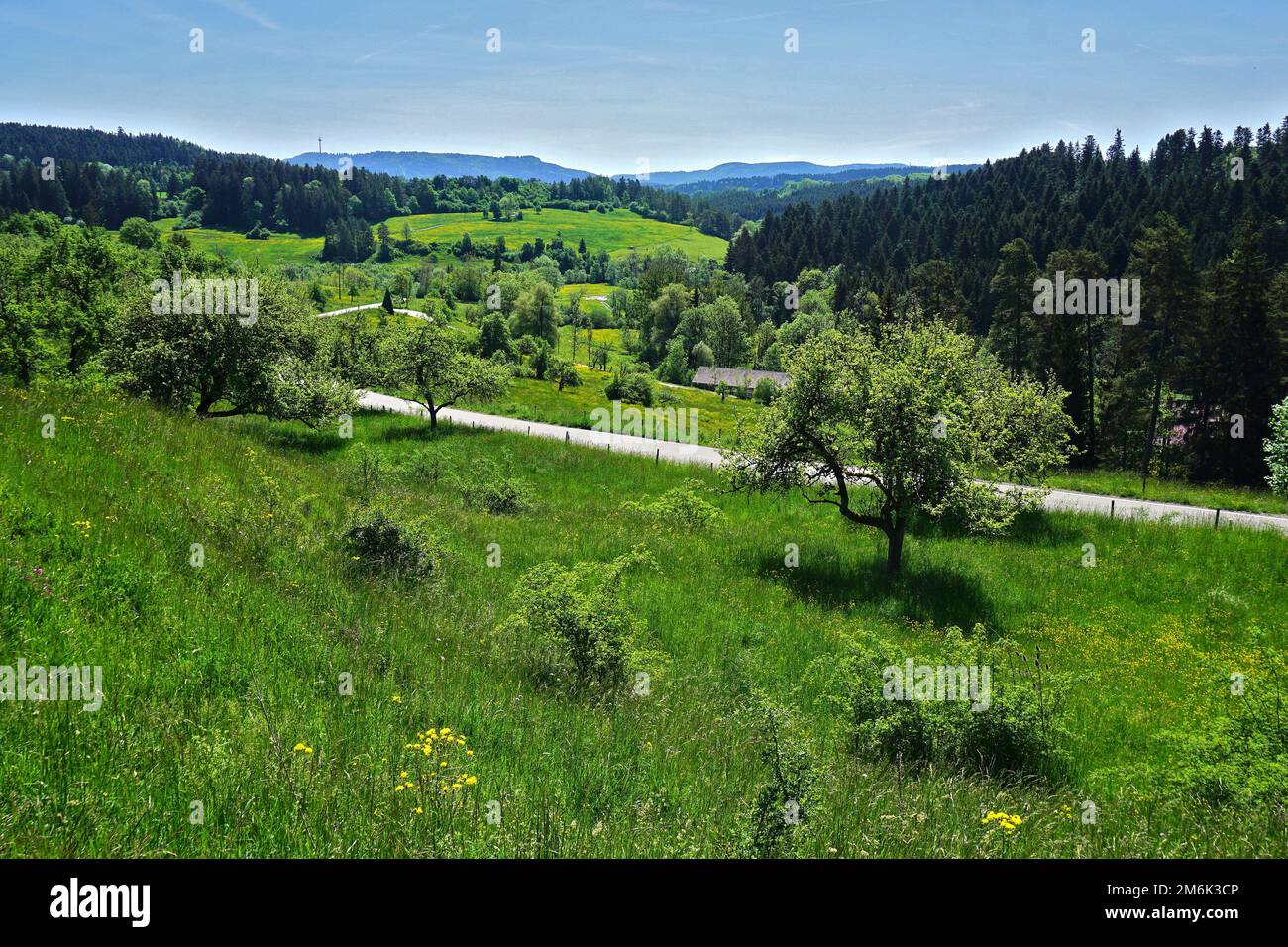 Valley of the schlichem hi-res stock photography and images - Alamy