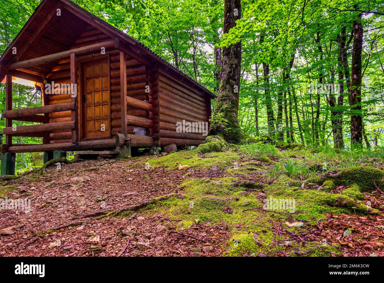 Wooden eco country house hi-res stock photography and images - Alamy