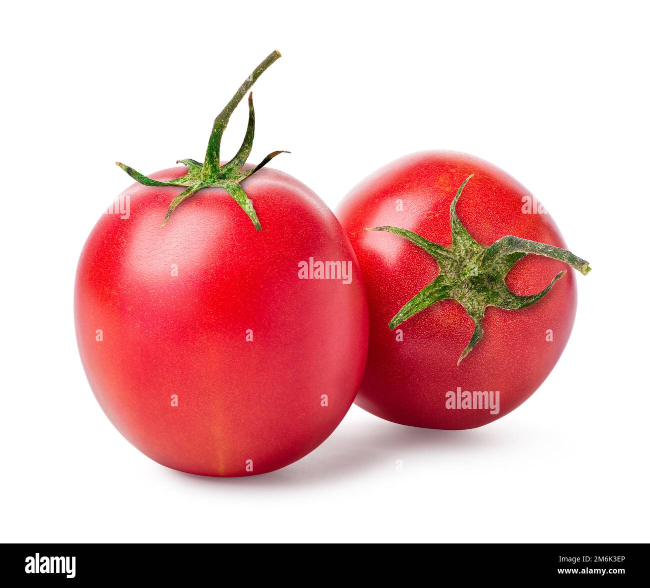 Two red tomatoes one hi-res stock photography and images - Alamy