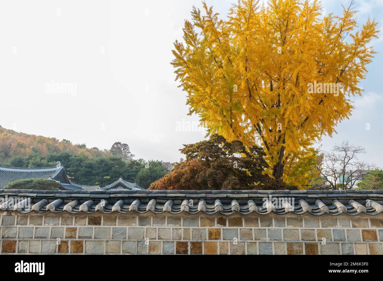 autumn landscape, scenery of Suwon Hwaseong in Korea Stock Photo - Alamy