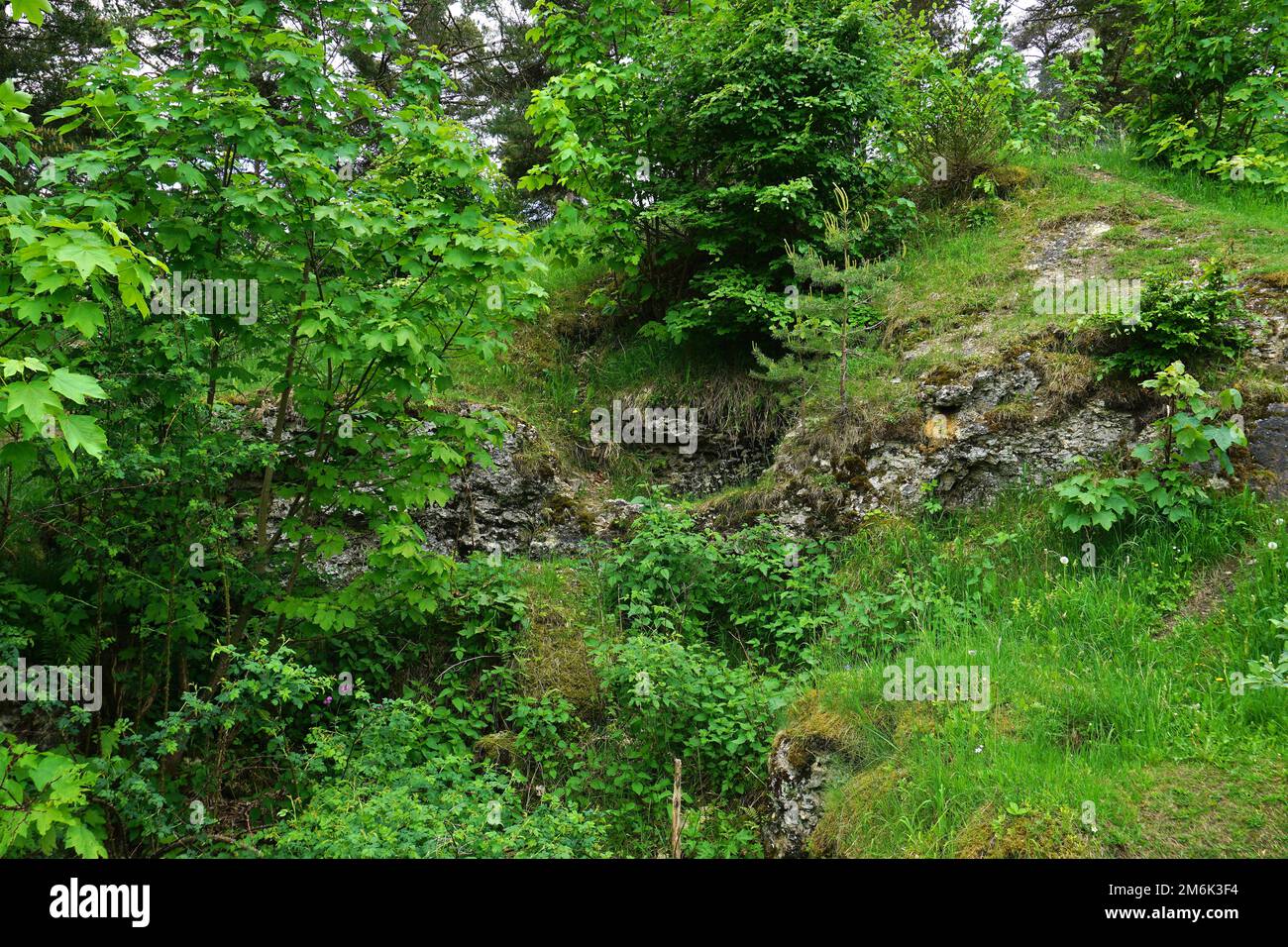 Sand holes; Karst phenomenon near Albstadt-Truchtelfingen; Swabian Alb ...