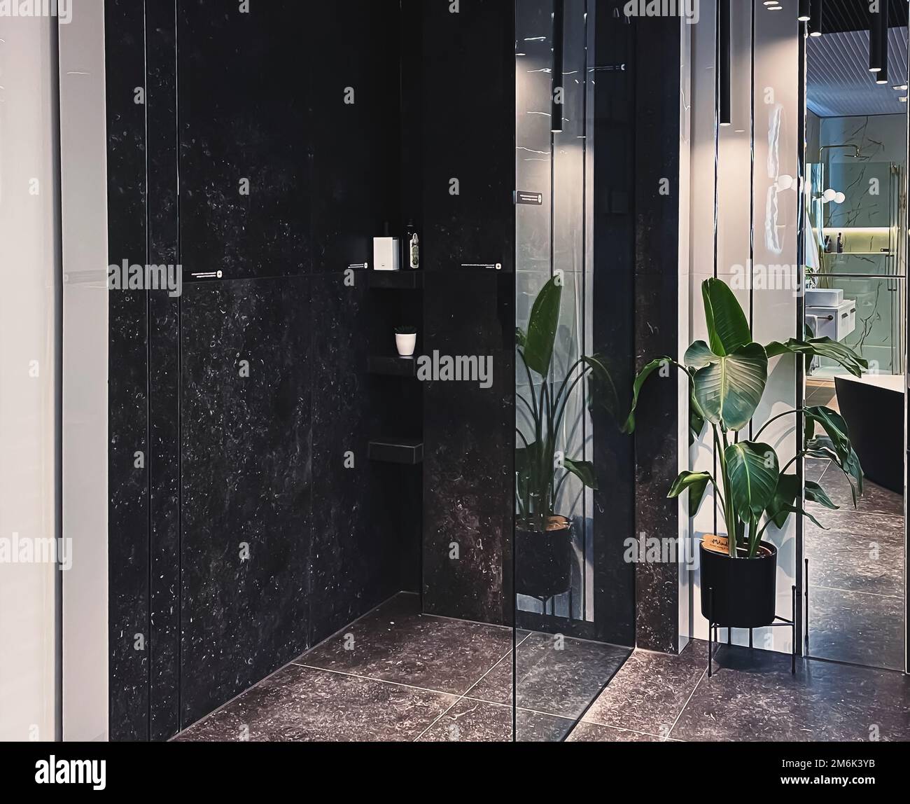 Modern bathroom interior, eco-friendly furniture decor made of organic ...