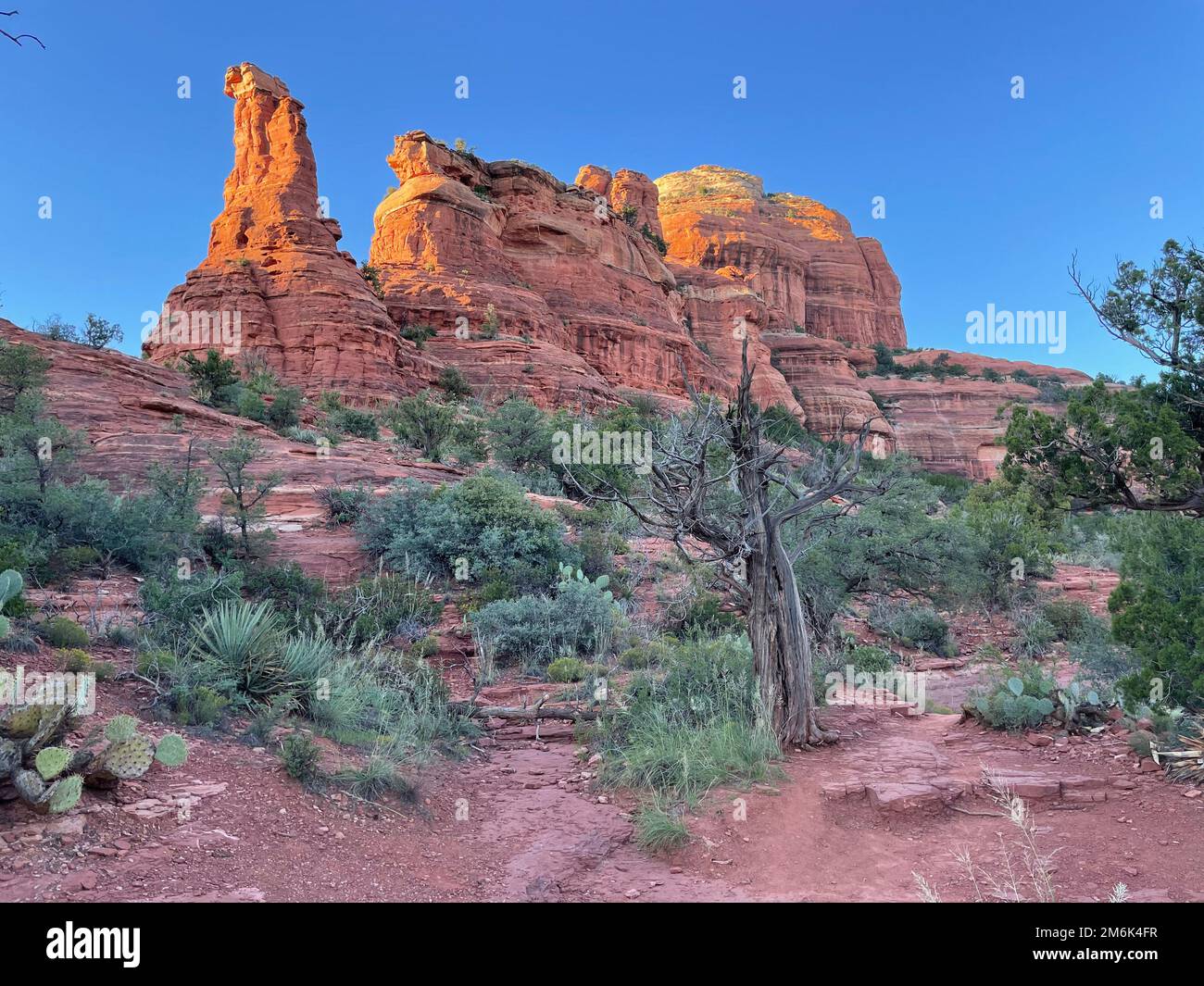 Desert scenery hi-res stock photography and images - Alamy