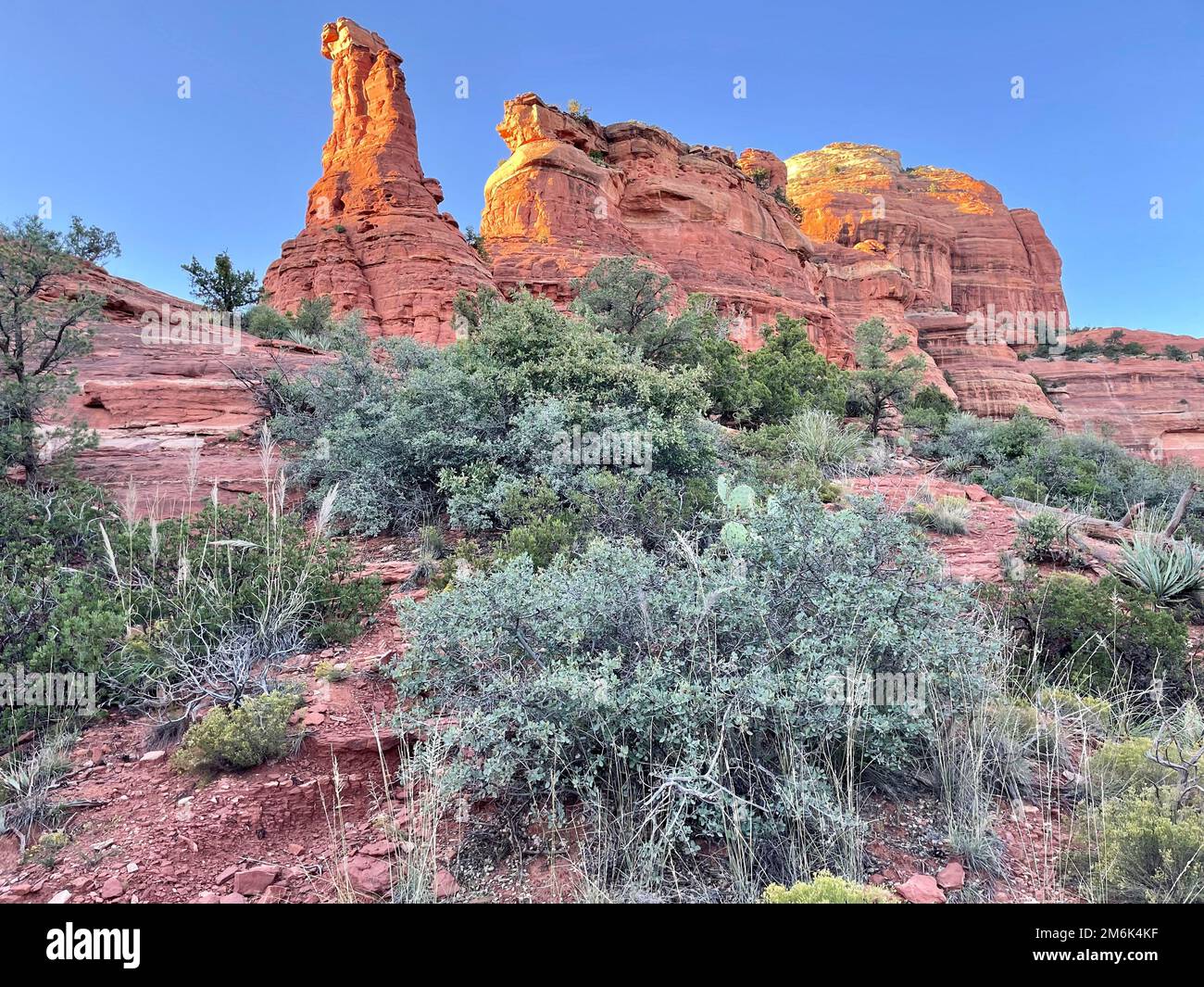 Desert scenery hiking sedona arizona scottsdale joshua tree white dog ...