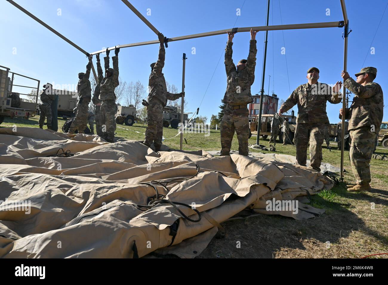 Aloc hi-res stock photography and images - Alamy