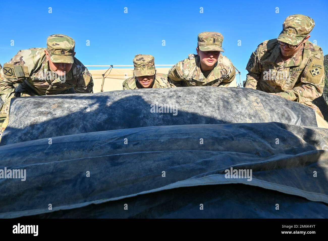 Aloc hi-res stock photography and images - Alamy