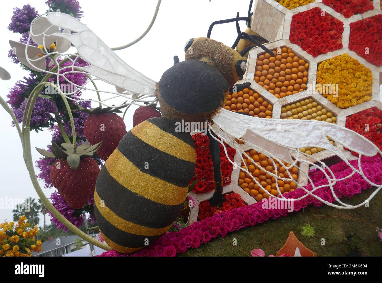 Pasadena, California, USA 3rd January 2023 Bees on Rose Parade Float on ...