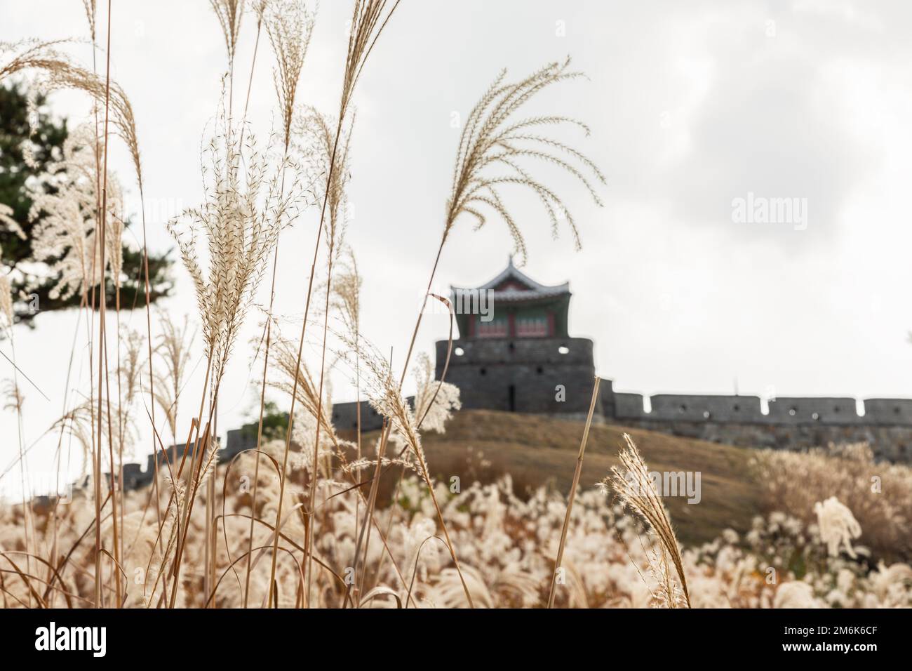 autumn landscape, scenery of Suwon Hwaseong in Korea Stock Photo - Alamy