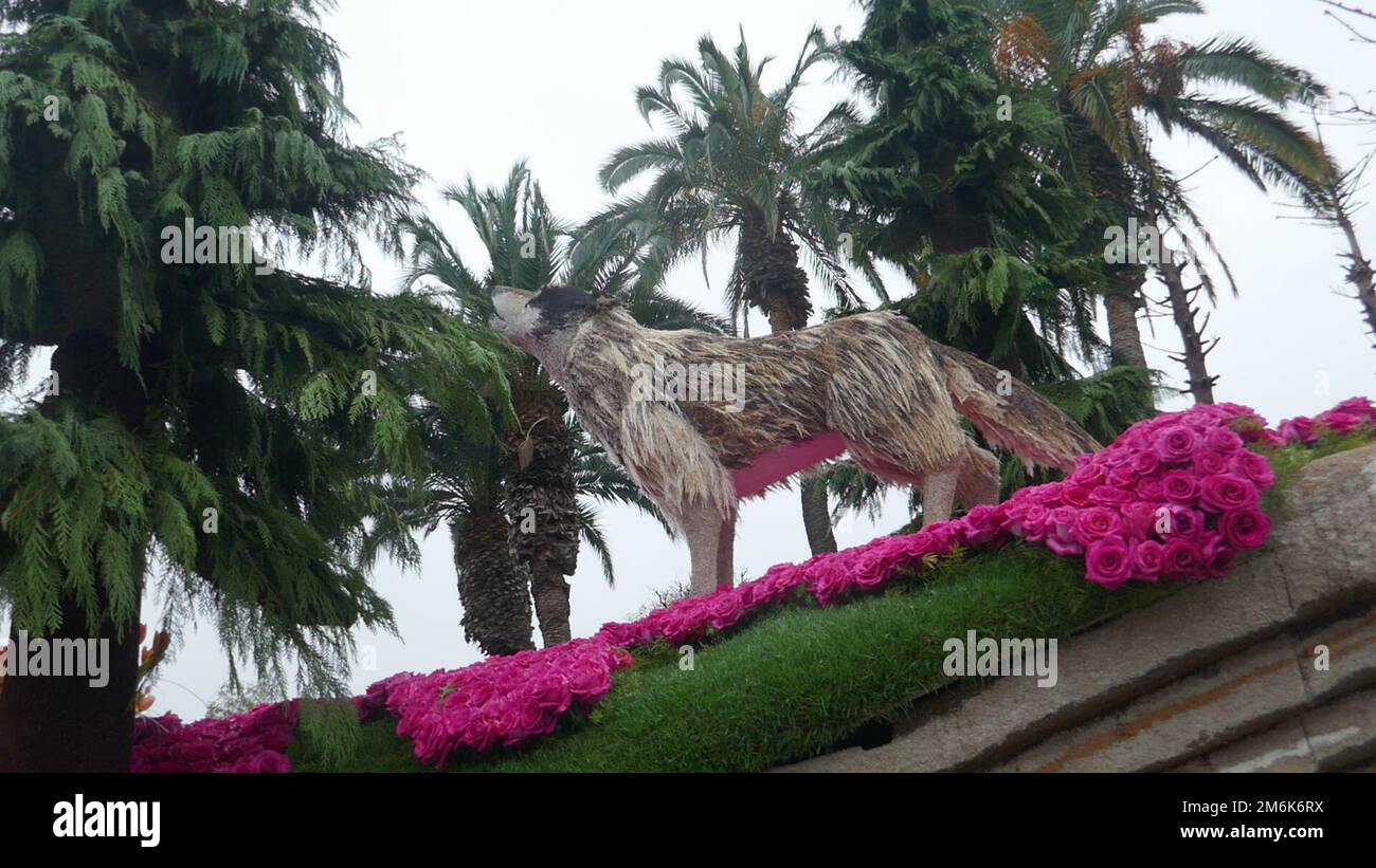 Pasadena, California, USA 3rd January 2023 Wolf on Mutual of Omaha's ...