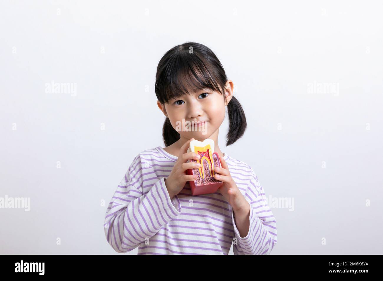 Asian Korean child with tooth miniature Stock Photo - Alamy