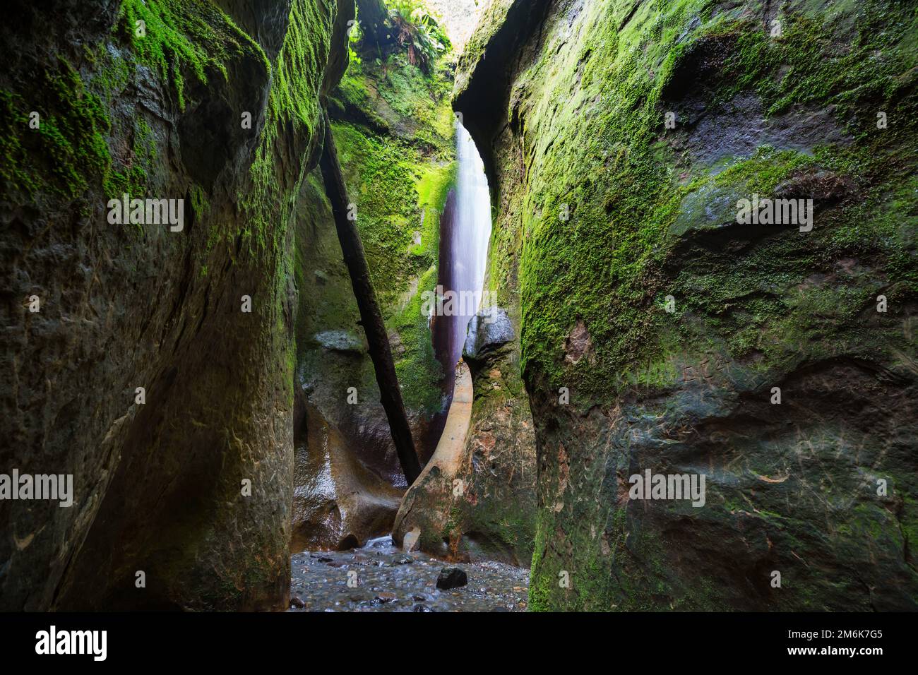 Beautiful nature scenery hidden canyon hi-res stock photography and ...