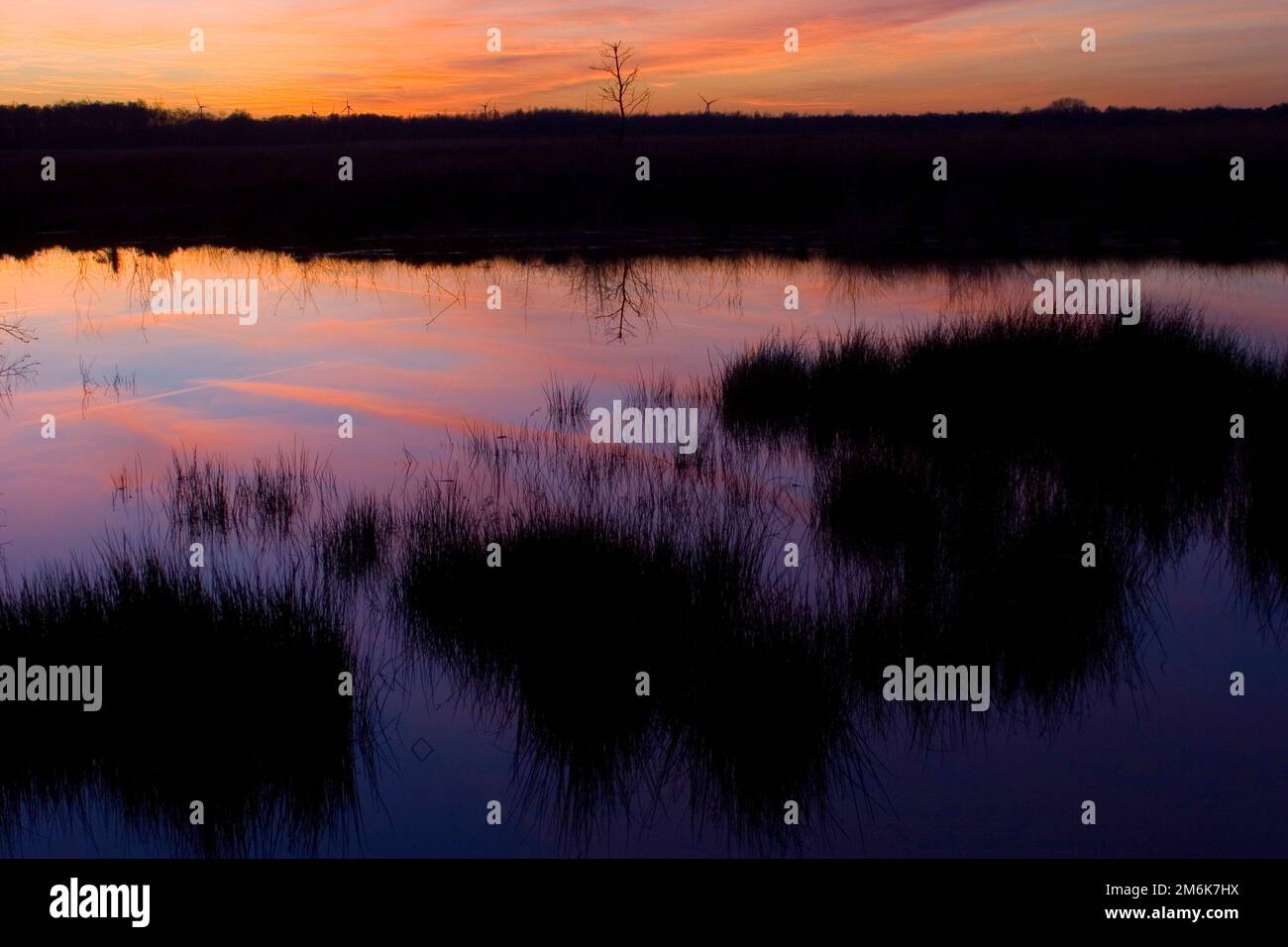 Evening in the high moor Stock Photo - Alamy