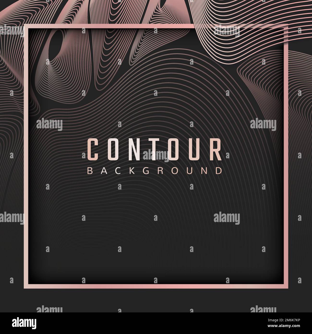 Gold frame topographic contour lines background vector Stock Vector ...