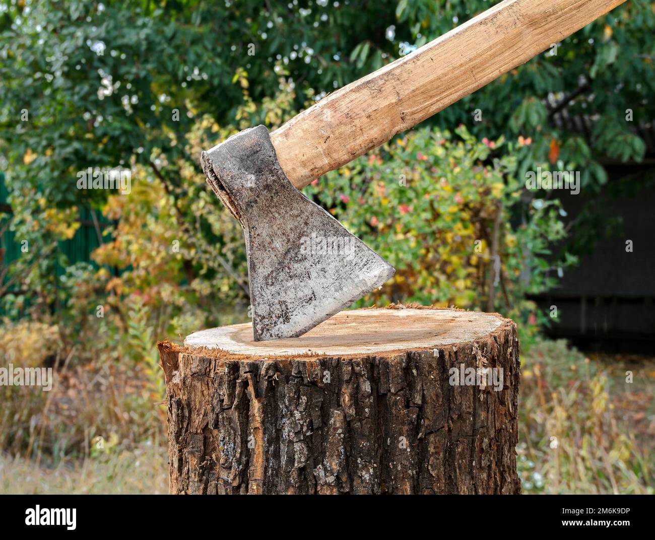 Tree ax hi-res stock photography and images - Alamy