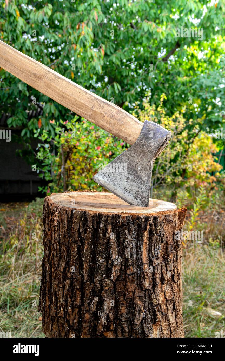 Tree ax hi-res stock photography and images - Alamy