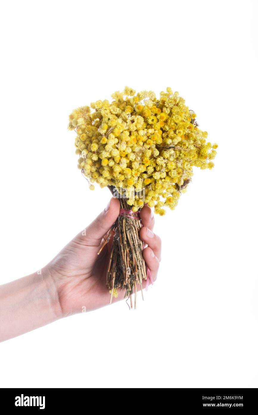 Hand in flowers Cut Out Stock Images & Pictures - Alamy