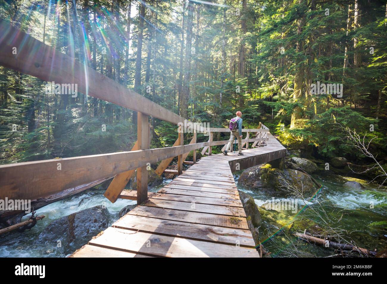 Bridge in forest Stock Photo - Alamy