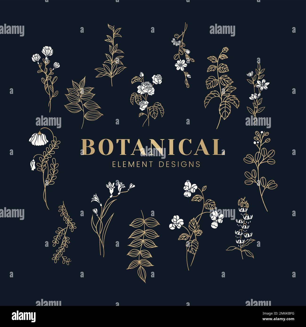 Blooming botanical element design vector Stock Vector Image & Art - Alamy