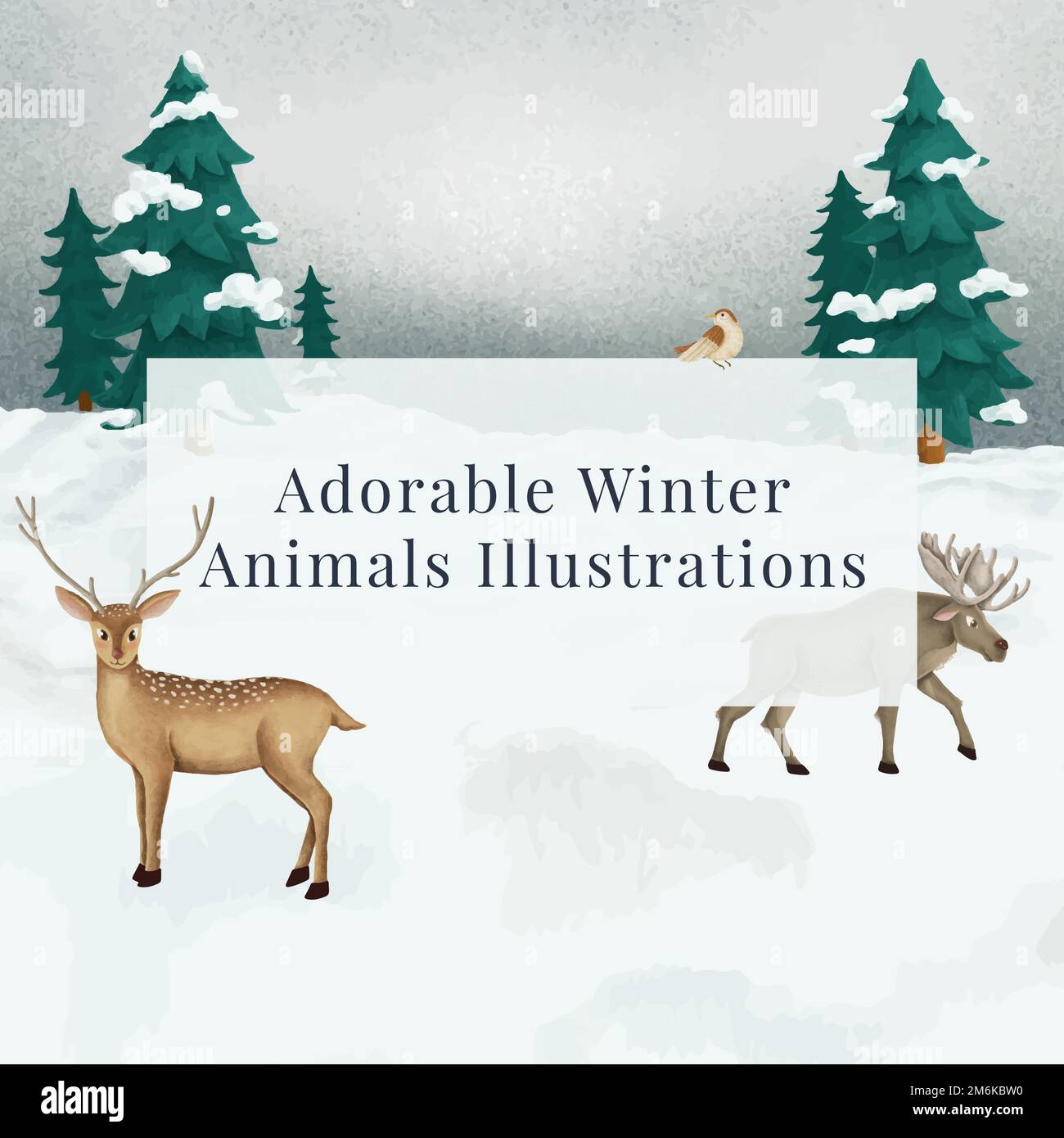 Snow covered spruce fir Stock Vector Images - Alamy