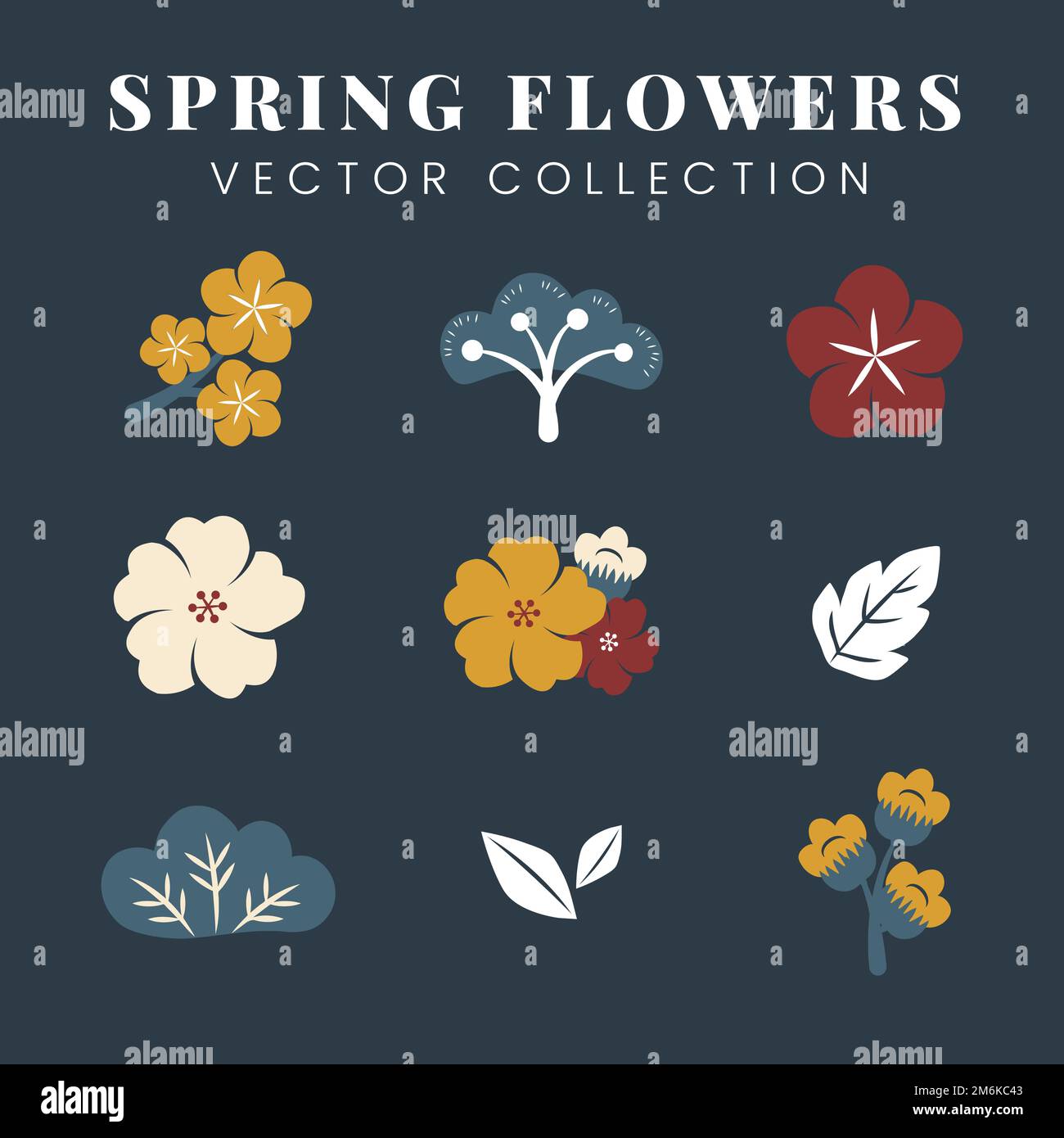 Colorful spring flowers vector collection Stock Vector Image & Art - Alamy