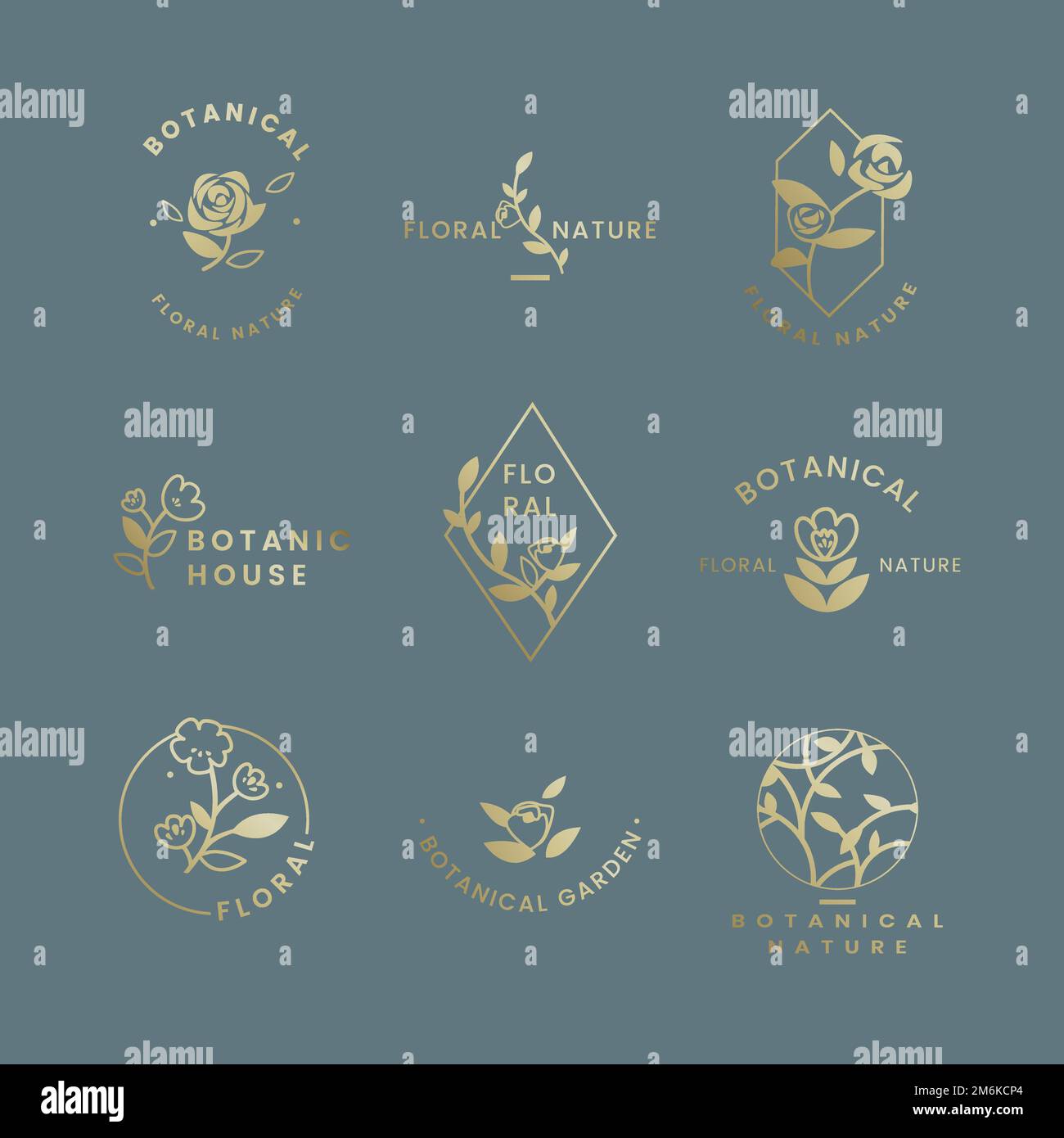 Botanical floral rose badges vector set Stock Vector Image & Art - Alamy