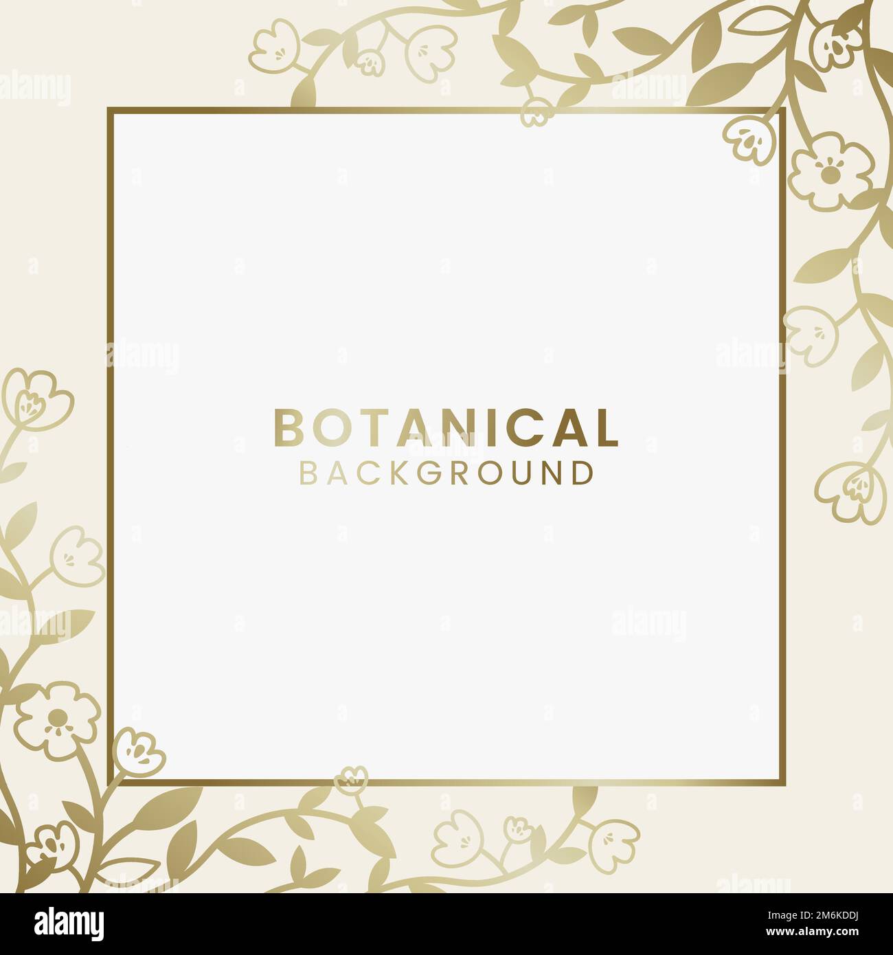 Gold botanical square framed vector Stock Vector Image & Art - Alamy