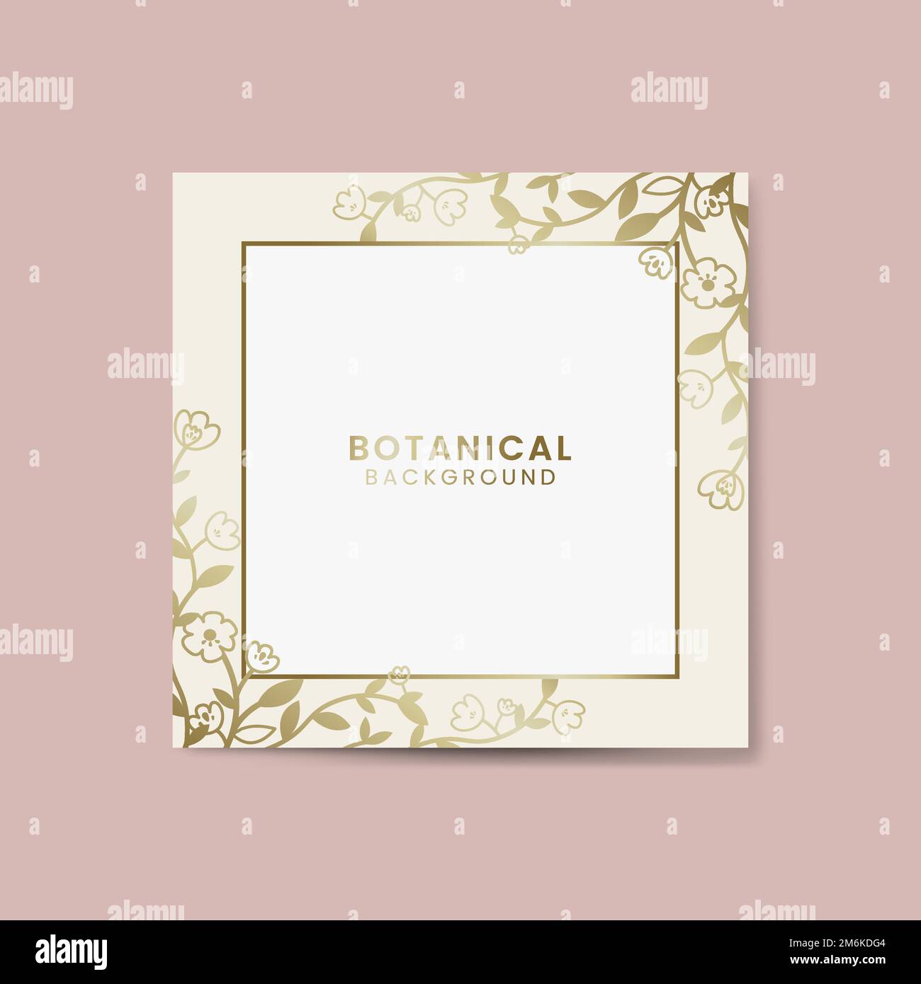 Gold botanical square framed vector Stock Vector Image & Art - Alamy
