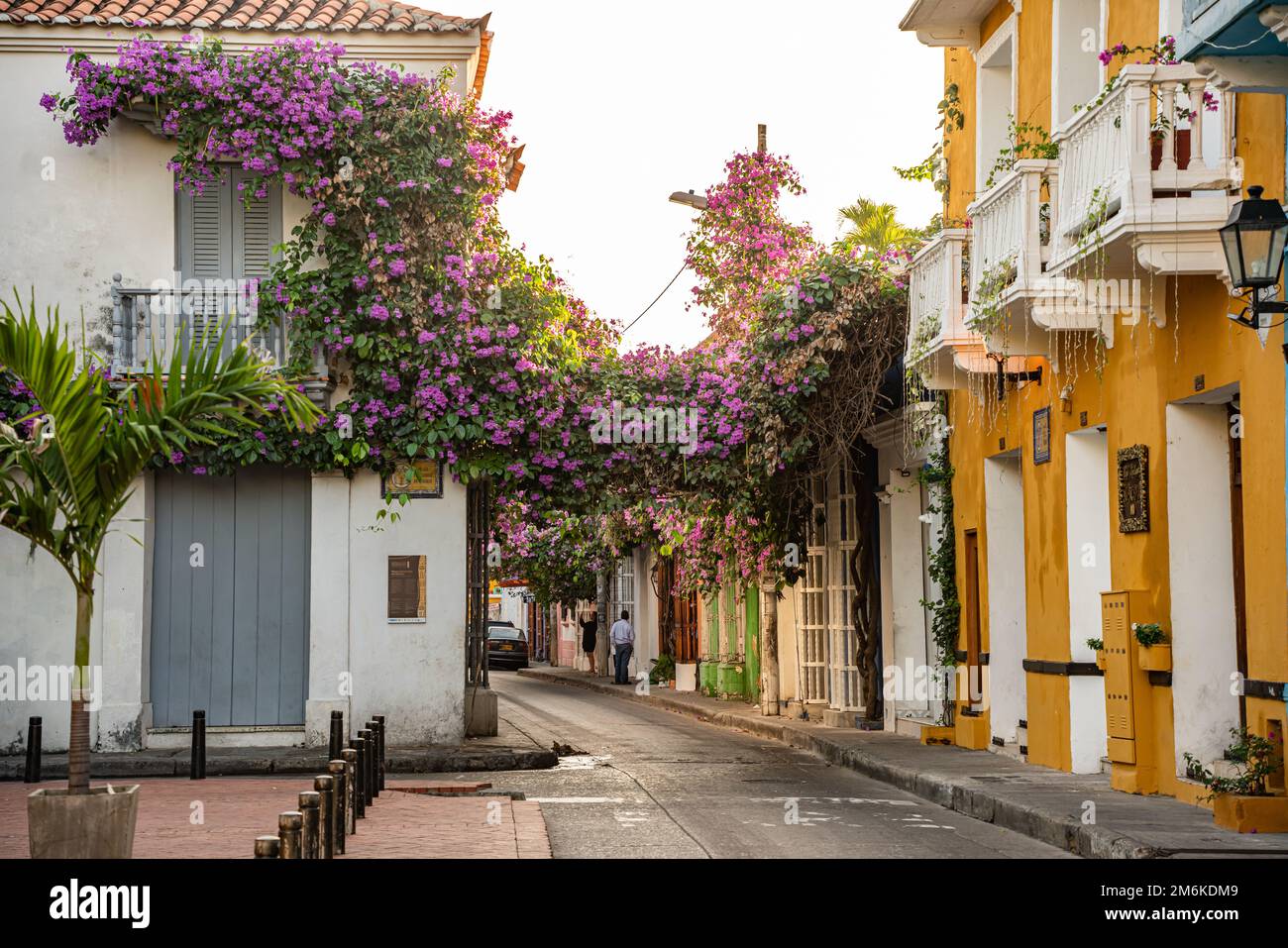 Colorful Houses of Old city of Cartagena with flowers; Columbian city ...