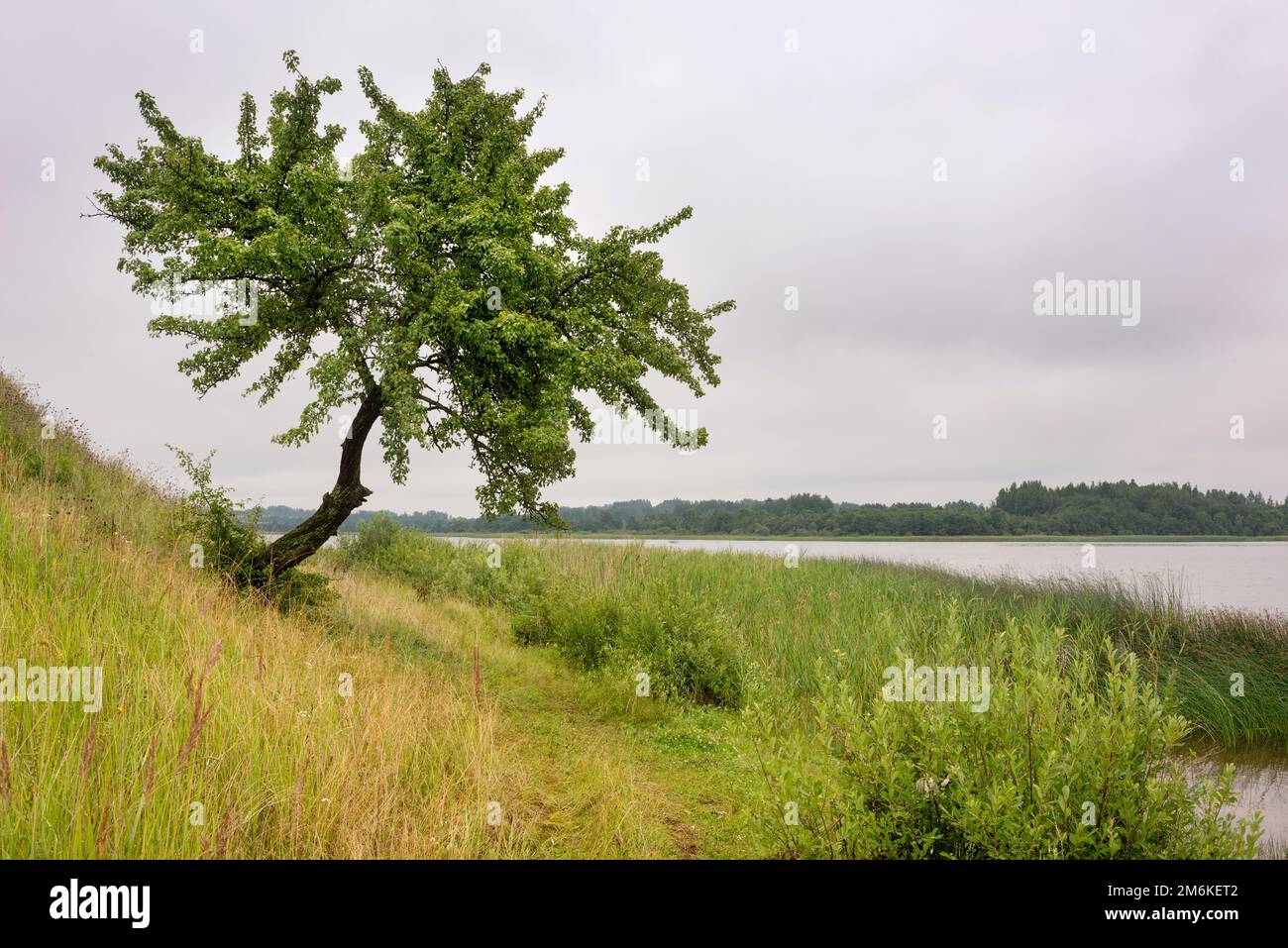 Serene recreation hi-res stock photography and images - Alamy