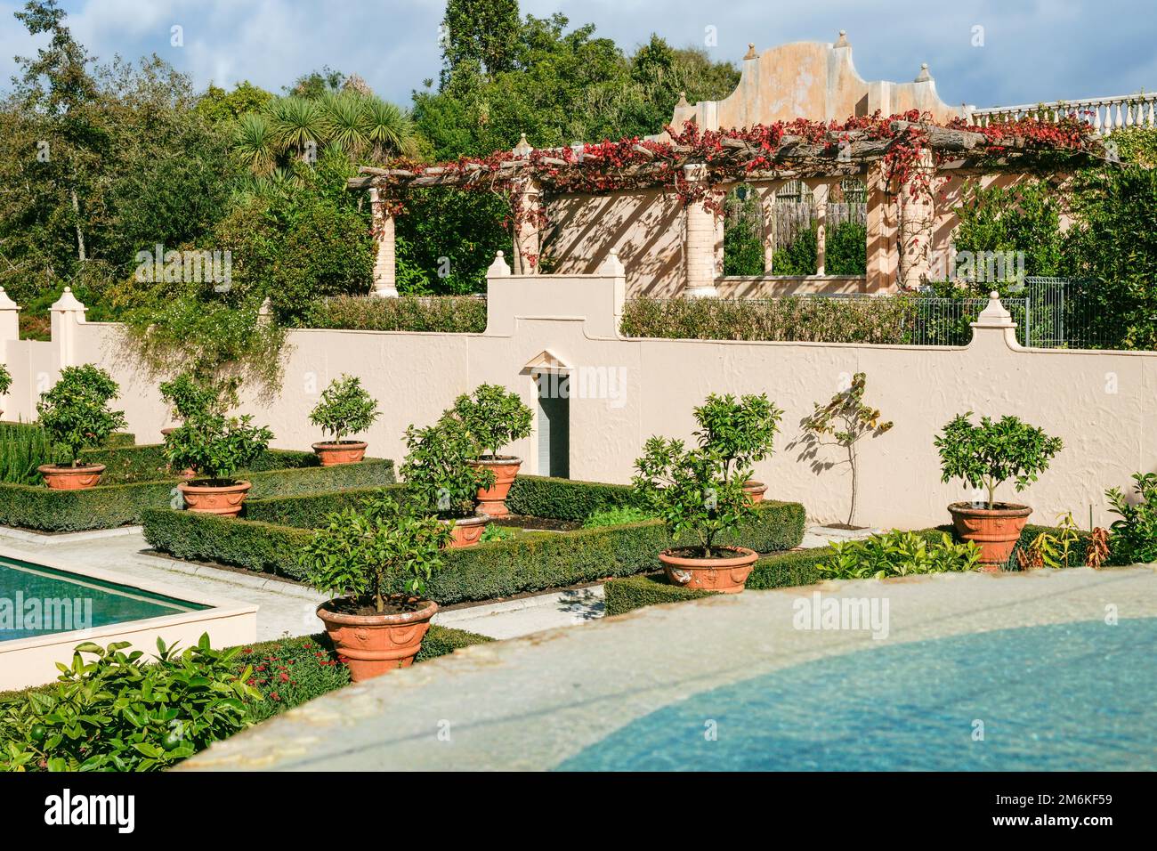Formal garden design with potted shrubs and box hedge in Spanish style ...